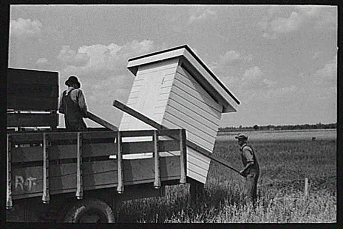 The Sanitary Privy (07/03/2020) – The Friday Footnote